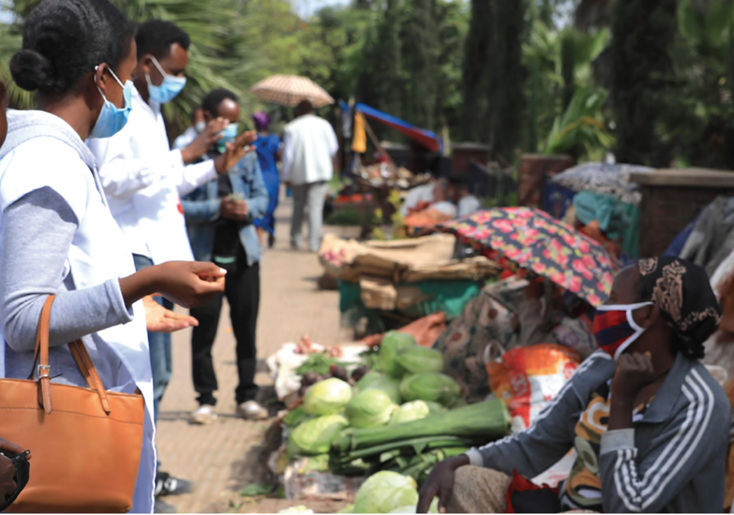 Zambia Statistics Agency